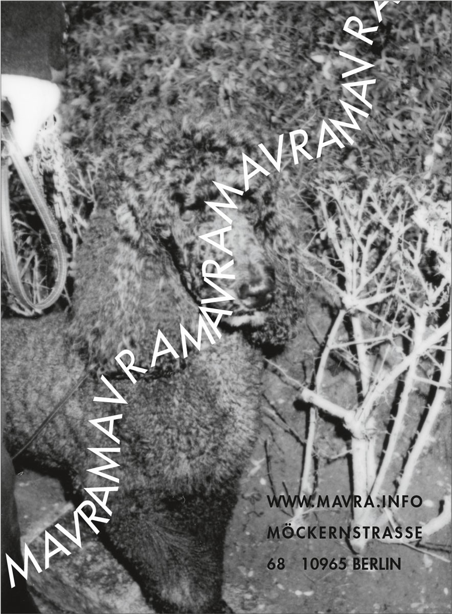 Mavra