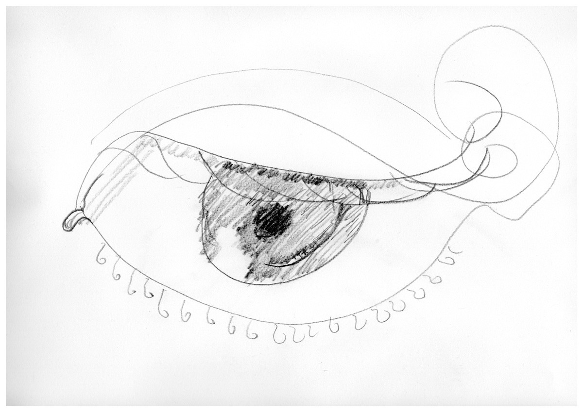 How to tell a story?